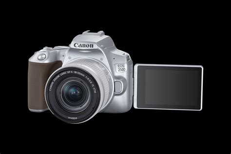Review Canon EOS 250D - Shoot