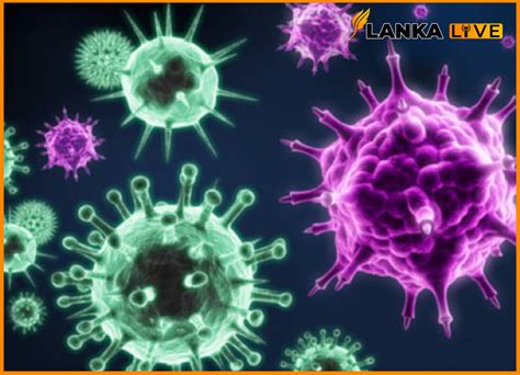 Lanka Live ලංකා ලයිව්