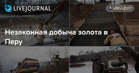 Незаконная добыча золота в Перу Vitkvv2017 — Livejournal