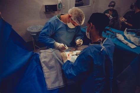 Inguinal Hernias 101 Symptoms Diagnosis And Treatment