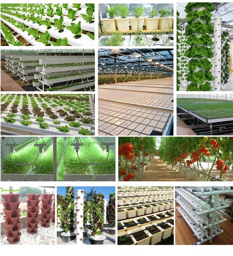 Shanghai Dehuan Industry Co Ltd Irrigation And Hydroponic
