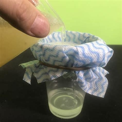 Extract DNA Fizzics Education