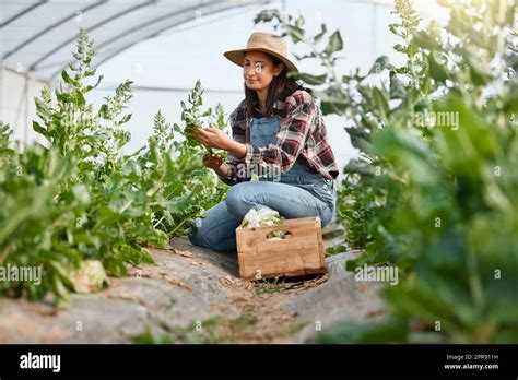 I Hope This Yield Will Improve A Young Woman Tending To Crops On A