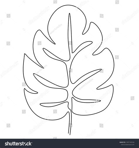 Palm Leaf Line Drawing Vector Isolated 스톡 벡터 로열티 프리 1597149169 Shutterstock