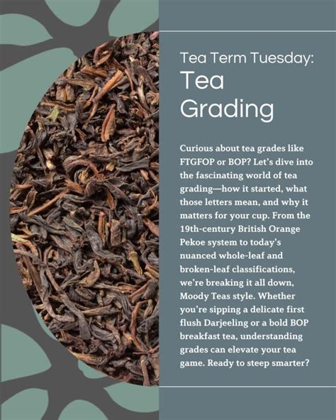 Tea Term Tuesday Tea Grading Moody Brands