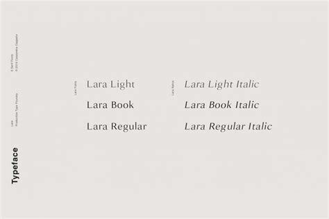 Lara Font Dfonts