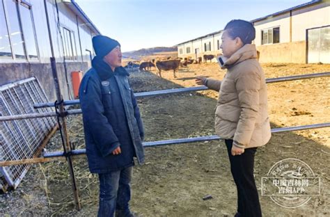 乡亲们我想对你说二十大代表在基层②丨谷凤杰我把二十大报告要点梳理出来回村后第一时间就发到微信群里 中国吉林网