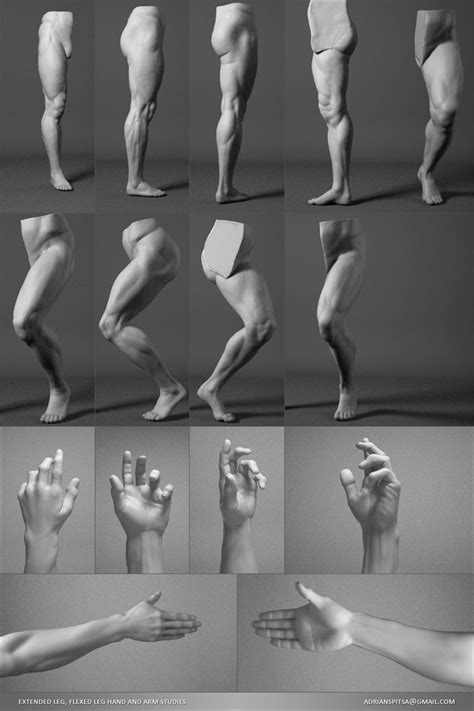 8 Anatomy Poses Ideas Body Reference Poses Poses Anatomy Poses