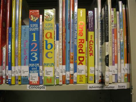 Metis Classification System Jackie S Learning Blog