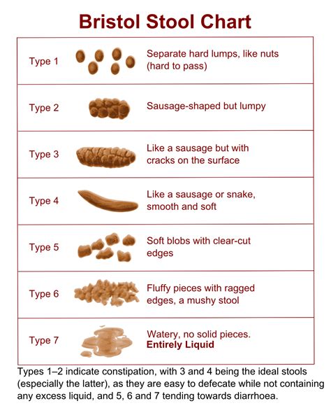 Printable Bristol Stool Chart