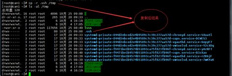 命令显示所有本地定义变量，语法“echo” Linux命令大全手册