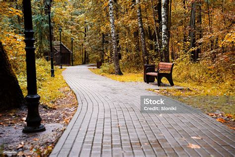 벤치 여름 공원 늙음 나무와 보행자로 0명에 대한 스톡 사진 및 기타 이미지 0명 10월 갈색 Istock