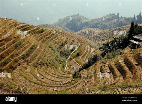 Rural Land For Sale China At Spencer Maconochie Blog