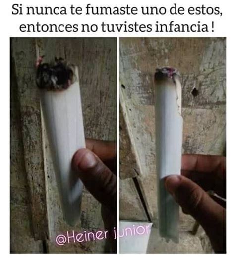 Los Memes Más Chistosos Del Día
