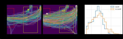 Comparison Of The Experimental Trajectories Of Pedestrians Entering