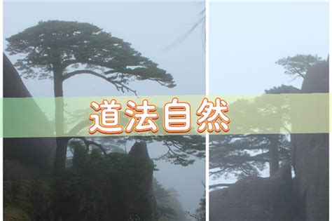 2025年4月的搬家黄道吉日是哪几天，4月搬迁黄道吉日查询 算命那点事
