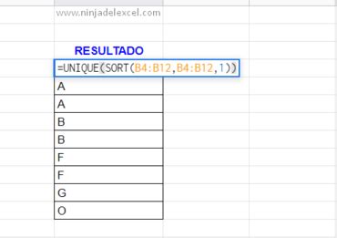 Función UNIQUE y Función SORT en Google Sheets Ninja del Excel