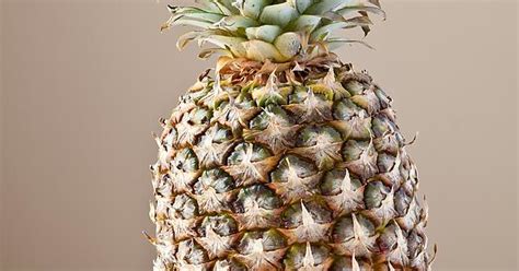 This Is A Pineapple Imgur