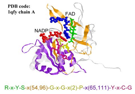 An Example Of Structued Motifs This Motif Is Observed On The Protein