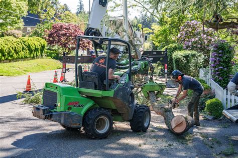 Tree Removal Safety Tips What You Need To Know