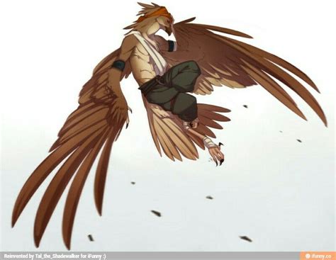 Aarakocra Dark Sun 5e Rice And Water Obsidian Portal