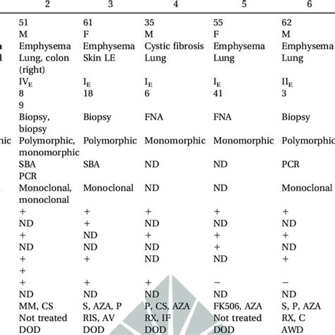 A Monomorphic Ptld Demonstrating Sheets Of Pleomorphic Atypical Download Scientific Diagram