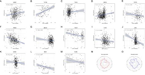 Methylation Analysis And Tumor Mutation Load Correlation Analysis Of