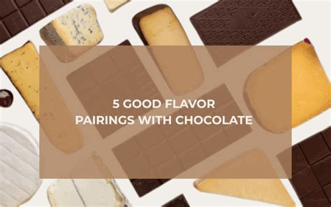 What Is Winnowing How Does A Cocoa Bean Winnowing Machine Work