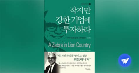 작지만 강한 기업에 투자하라 플라이북