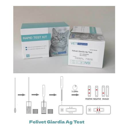Feline Giardia Antigen Rapid Test Giardia Ag Test For Cat China