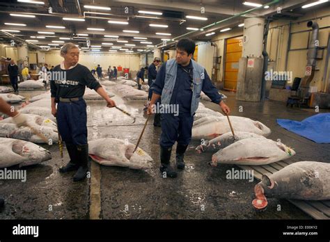 The Tokyo Metropolitan Central Wholesale Market Commonly Known As The