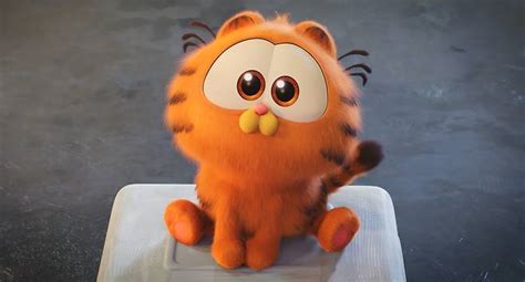 귀여운 고양이에게 간택당한 집사 결국… 맥스en