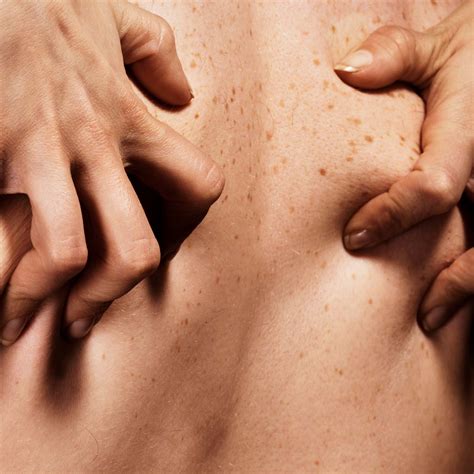 Sex Vorlieben Erkl Rt Was Bedeutet Russisch Albanisch Oder Schwedisch Gq Germany