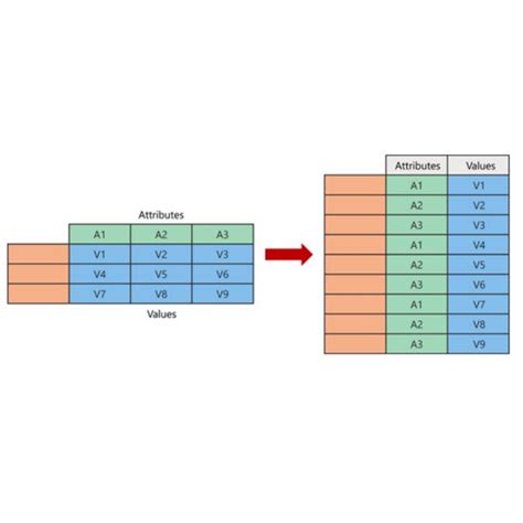 Tidy Dataset