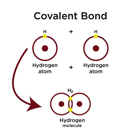 How To Identify A Polar Covalent Bond