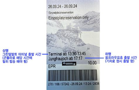 로이스초코의 궁금한 여행 스위스 융프라우 티켓가격과 구매방법 꿀tip