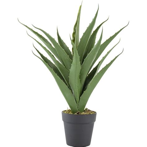 Декоративный искусственное растение Medium Aloe по цене 9 400 руб ...