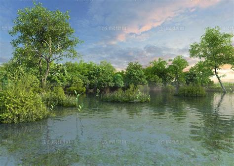 写实湿地公园场景 自然景观模型 自然场景模型库 3ds Max Max 模型下载 Cg模型网