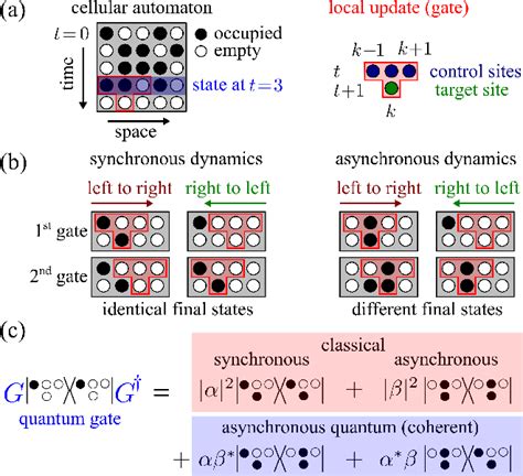 Figure 3 From Asynchronism And Nonequilibrium Phase Transitions In 1 1