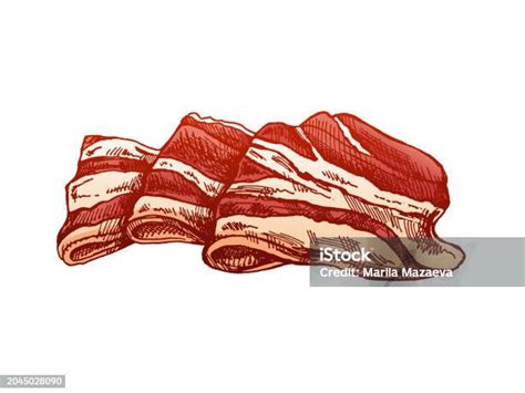 손으로 그린 컬러 벡터 스케치 하몬 또는 돼지 고기 햄 조각 이탈리안 프로슈토 빈티지 스케치 푸줏간 라벨 레스토랑 메뉴에 적합합니다 새겨진 이미지 Hamont Achel에
