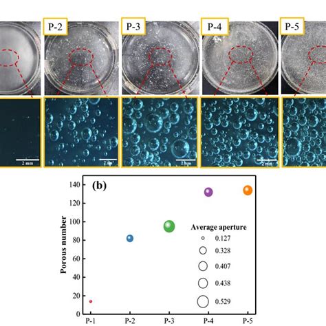 Synthesis Process Of Hpc Thermosensitive Porous Hydrogel Download Scientific Diagram