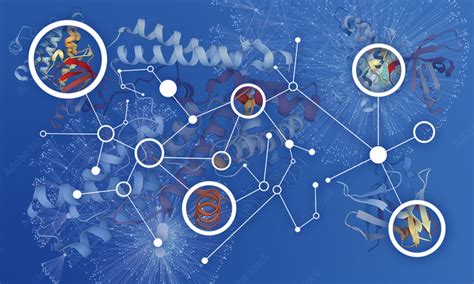 A Human Interactome To Priorit [image] Eurekalert Science News Releases