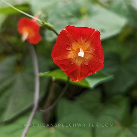 Famous People Working With Leaders Speech Writing Service Hire Anthony Trendl Americas Top