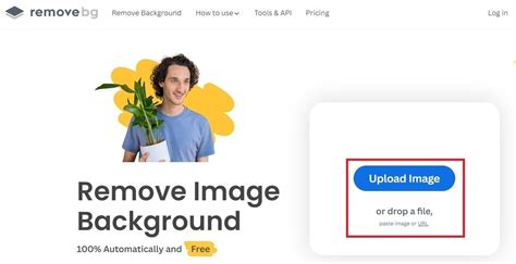 Top Tools To Remove White Background From Image