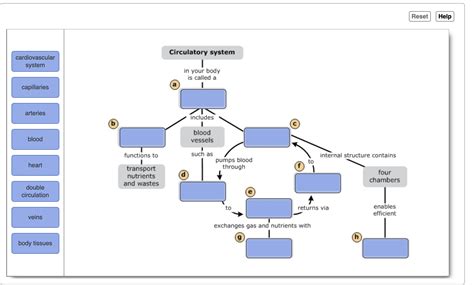Solved Can You Complete This Concept Map About The Chegg