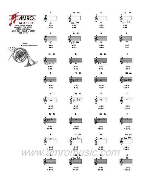 French Horn Fingering Chart French Horn Horns Orchestra Music