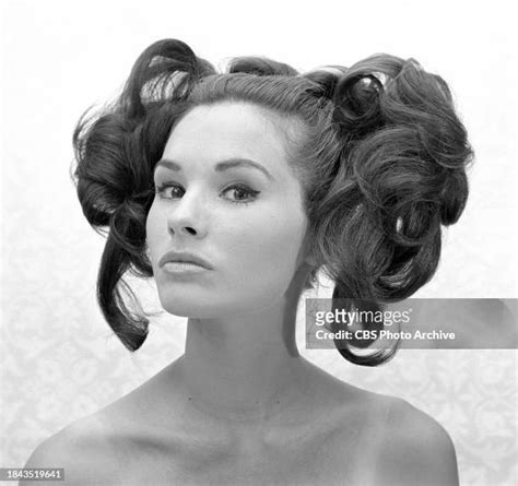 Lori Saunders Faux
