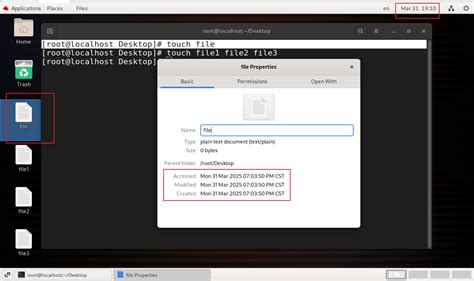 Linux中常用的文件管理命令linux文件管理命令 Csdn博客