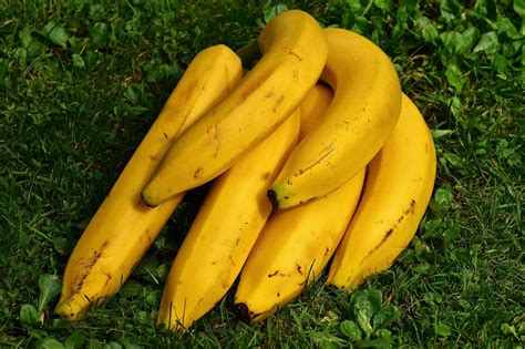 Más De 90 000 Imágenes Gratis De Platanos Animada Y Plátano Pixabay