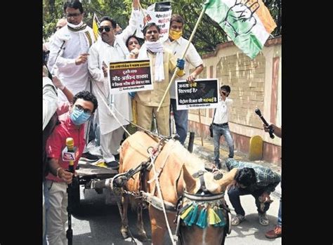Youth Congress Members Ride Bullock Cart To Protest Against Fuel Price